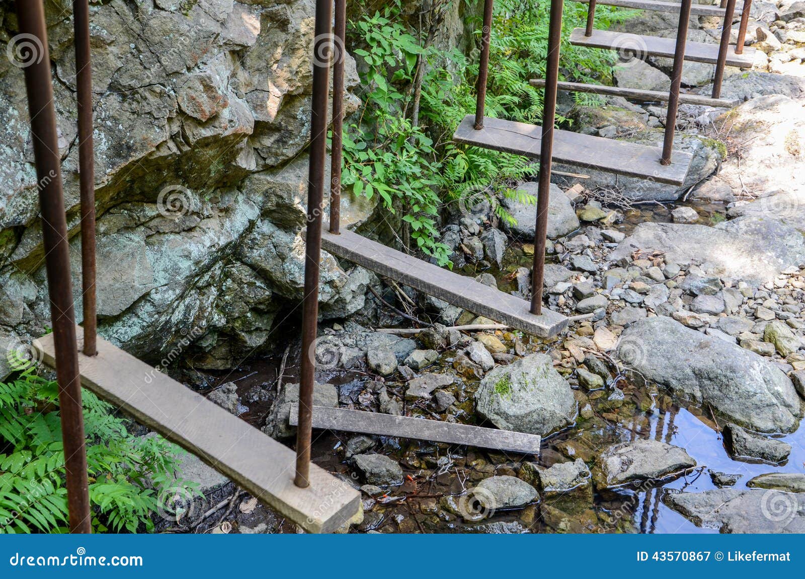 Ladder for Obstacle Training Stock Image - Image of green, hiking: 43570867