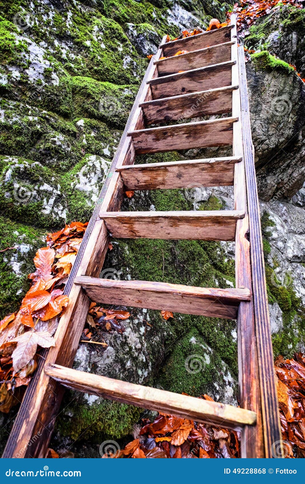 Ladder stock photo. Image of wall, stone, rough, weathered - 49228868