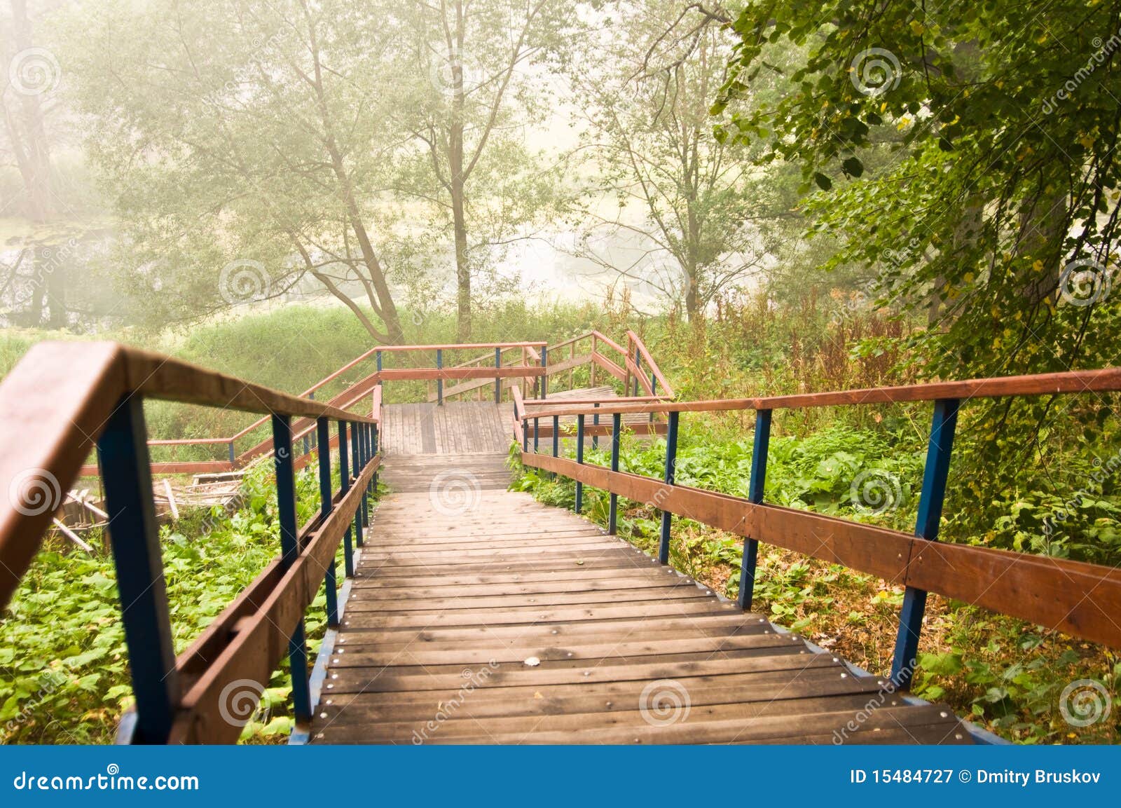 Ladder in park stock image. Image of staircase, flower - 15484727