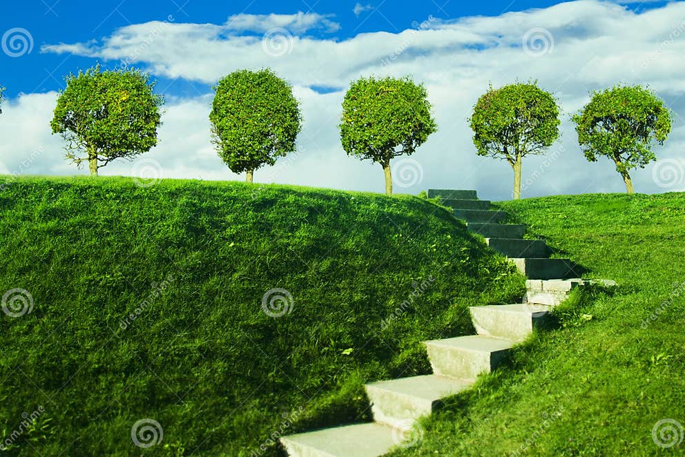 Ladder in park stock photo. Image of bush, colour, color - 27573564
