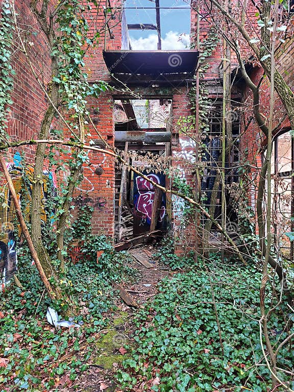 Ladder, Platform and Passage in a Collapsed Building Stock Photo ...