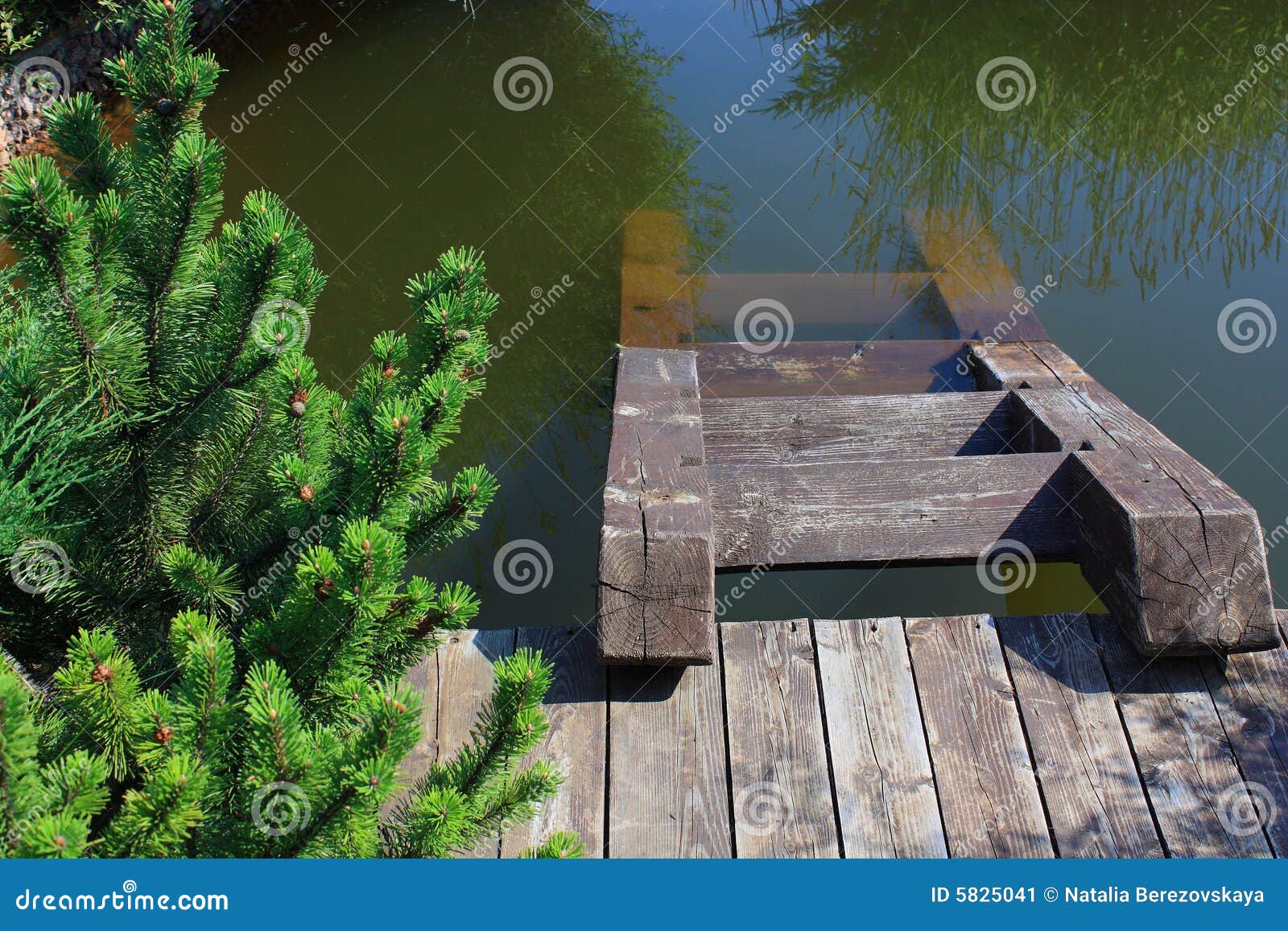 Ladder in a pond stock image. Image of cottage, dacha - 5825041