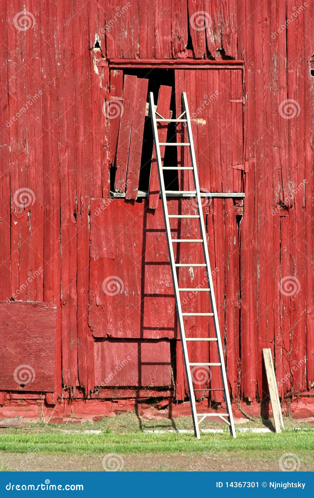 Ladder on a red barn stock image. Image of agricultural - 14367301