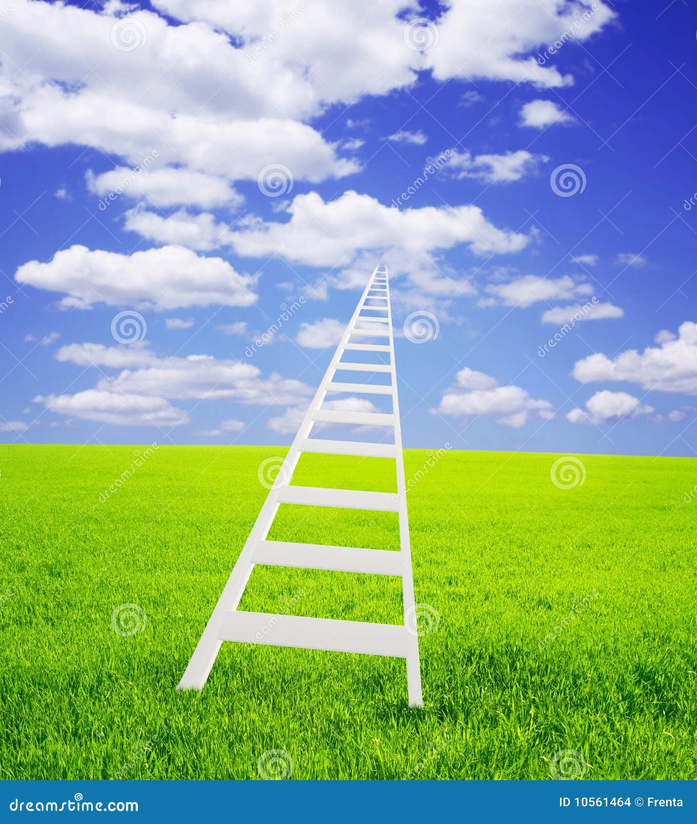 Ladder in the sky stock photo. Image of exit, freedom - 10561464
