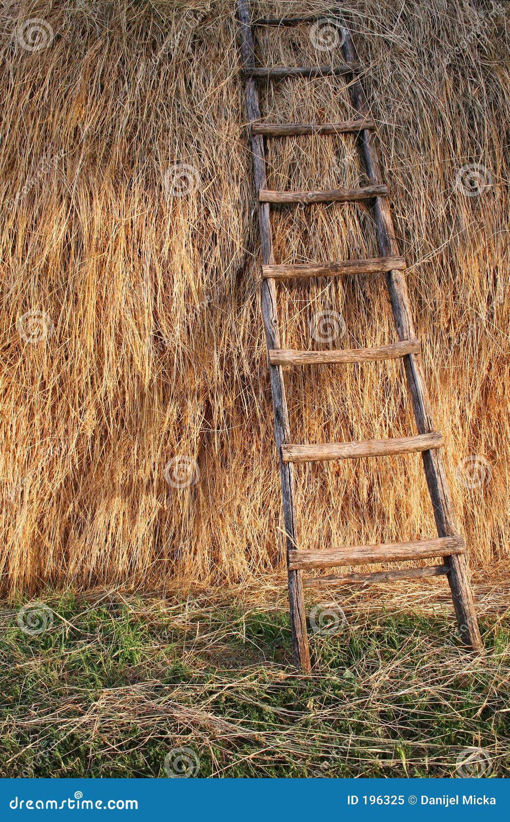 Ladder on straw stock image. Image of ladder, bottom, bunch - 196325