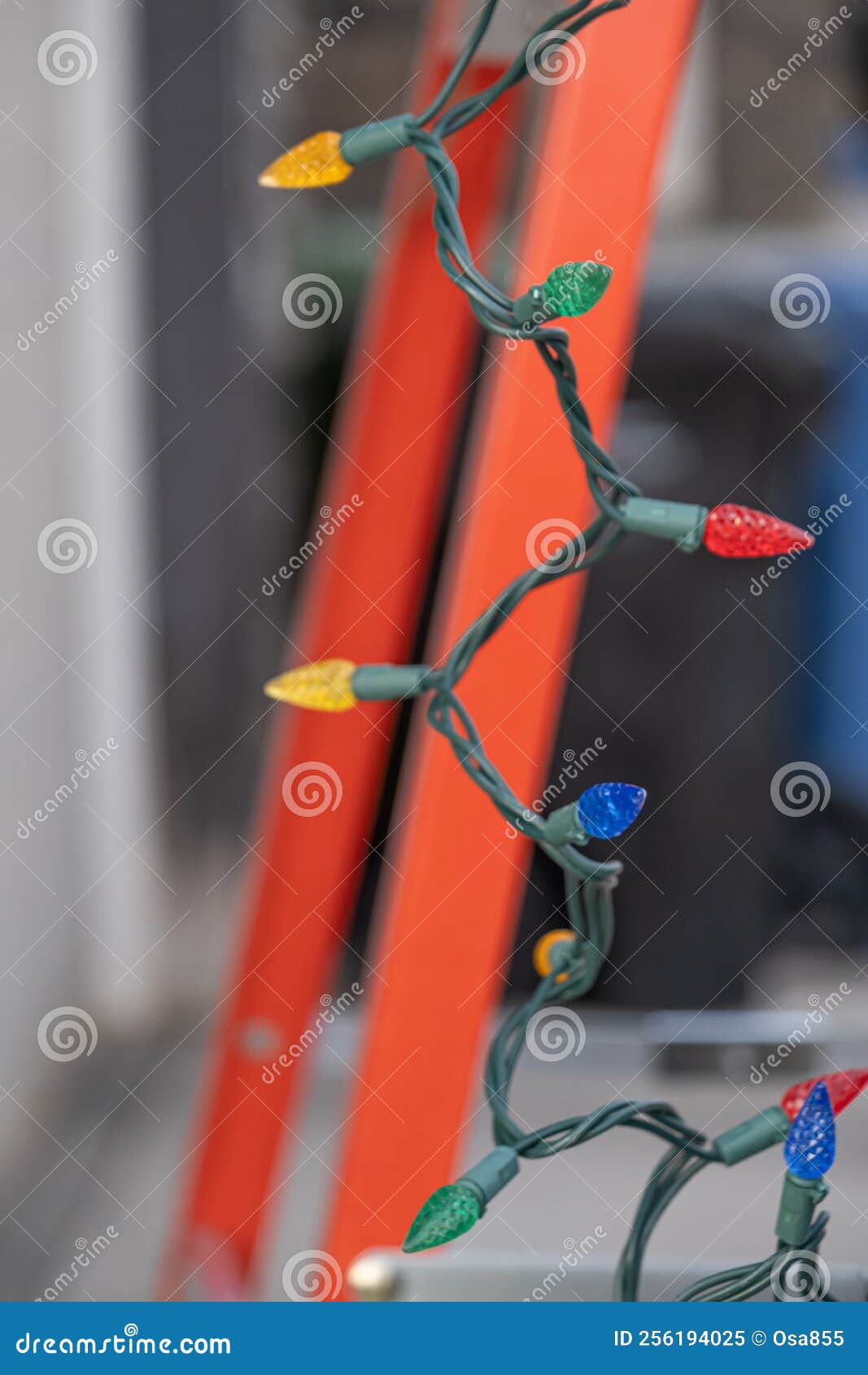 Ladder with String of Christmas Lights To Hang Up Stock Image - Image ...