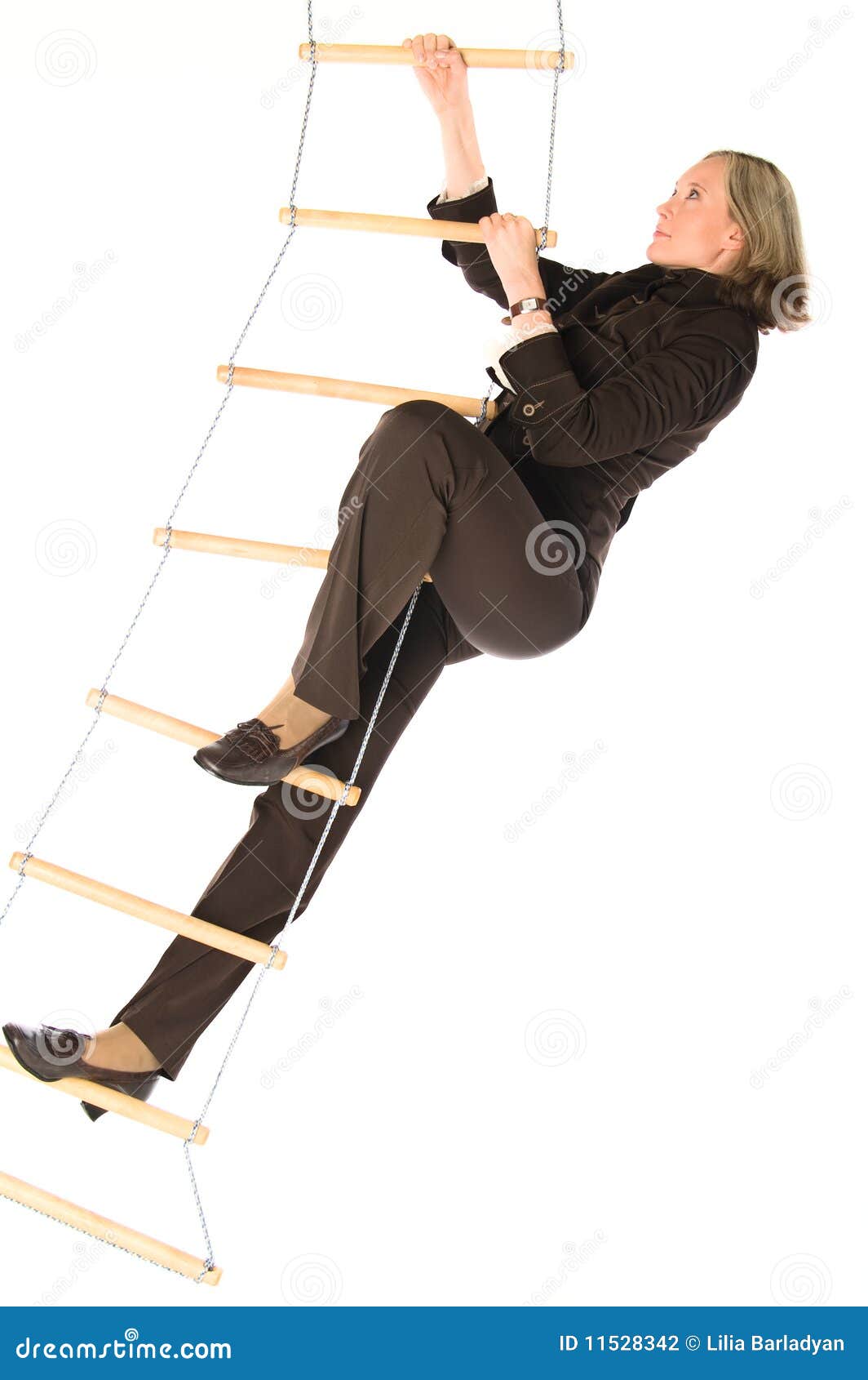 Ladder of success stock photo. Image of motivation, incentive - 11528342