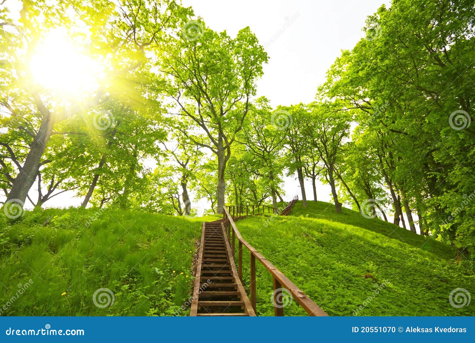 Ladder to the hill, summer stock photo. Image of sunlight - 20551070