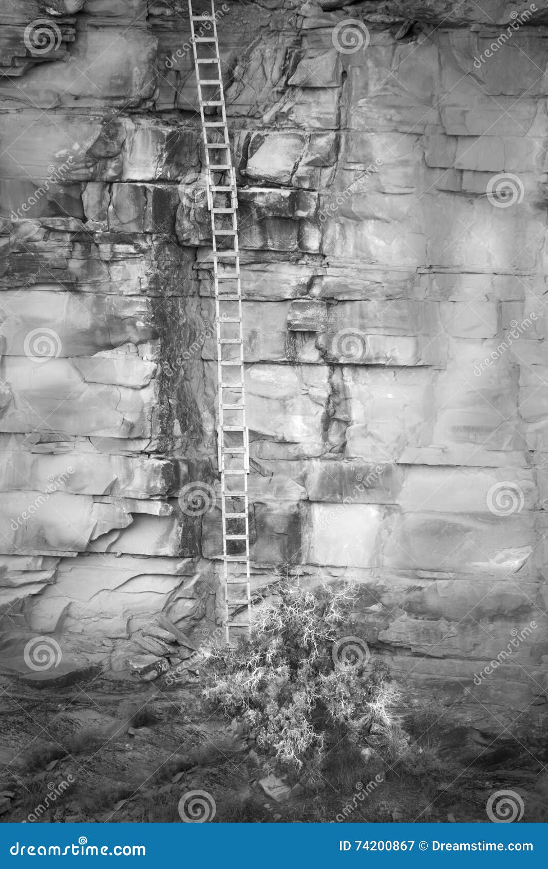 Ladder to nowhere stock image. Image of leading, explore - 74200867