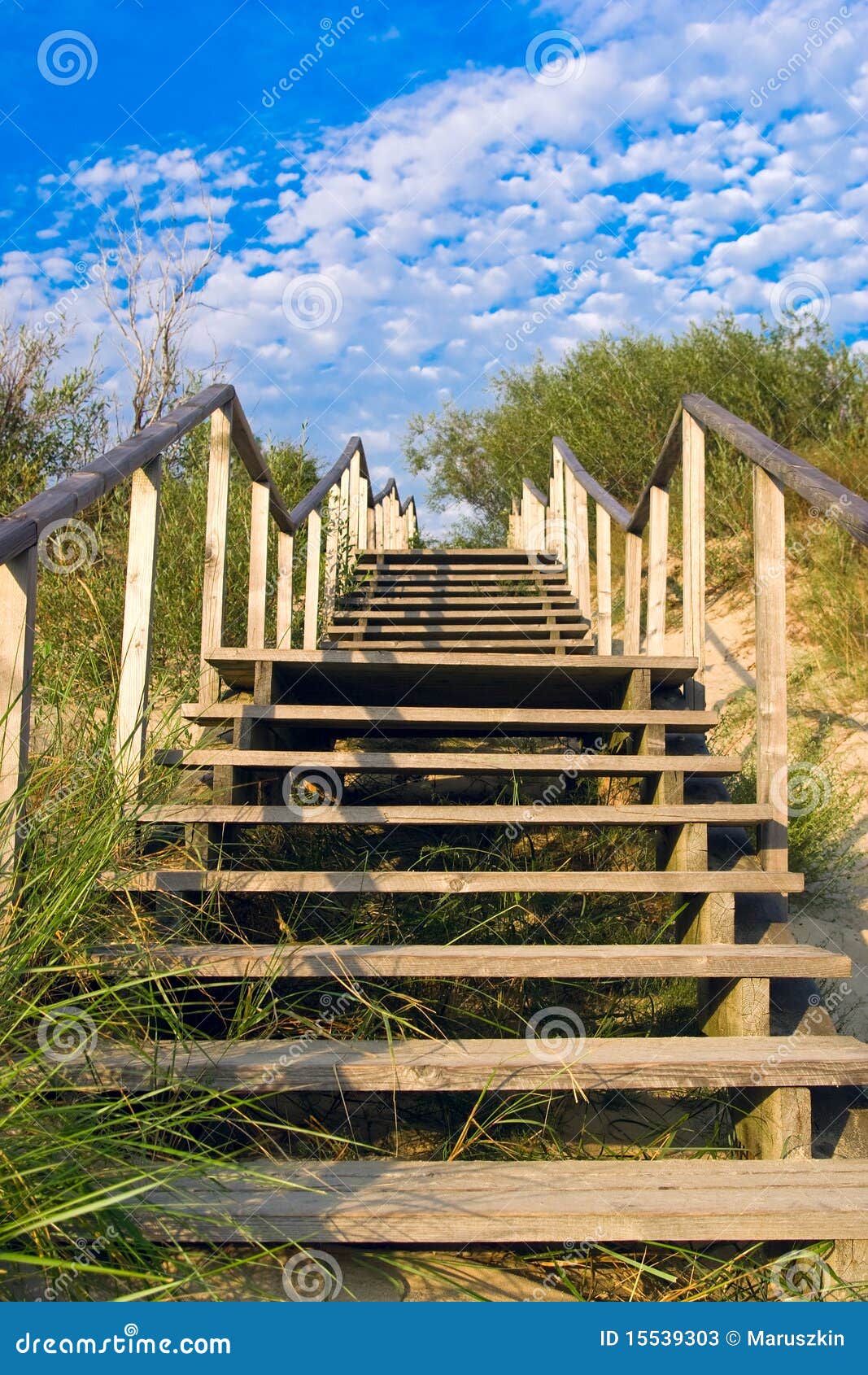 Ladder to the sky stock image. Image of countryside, green - 15539303