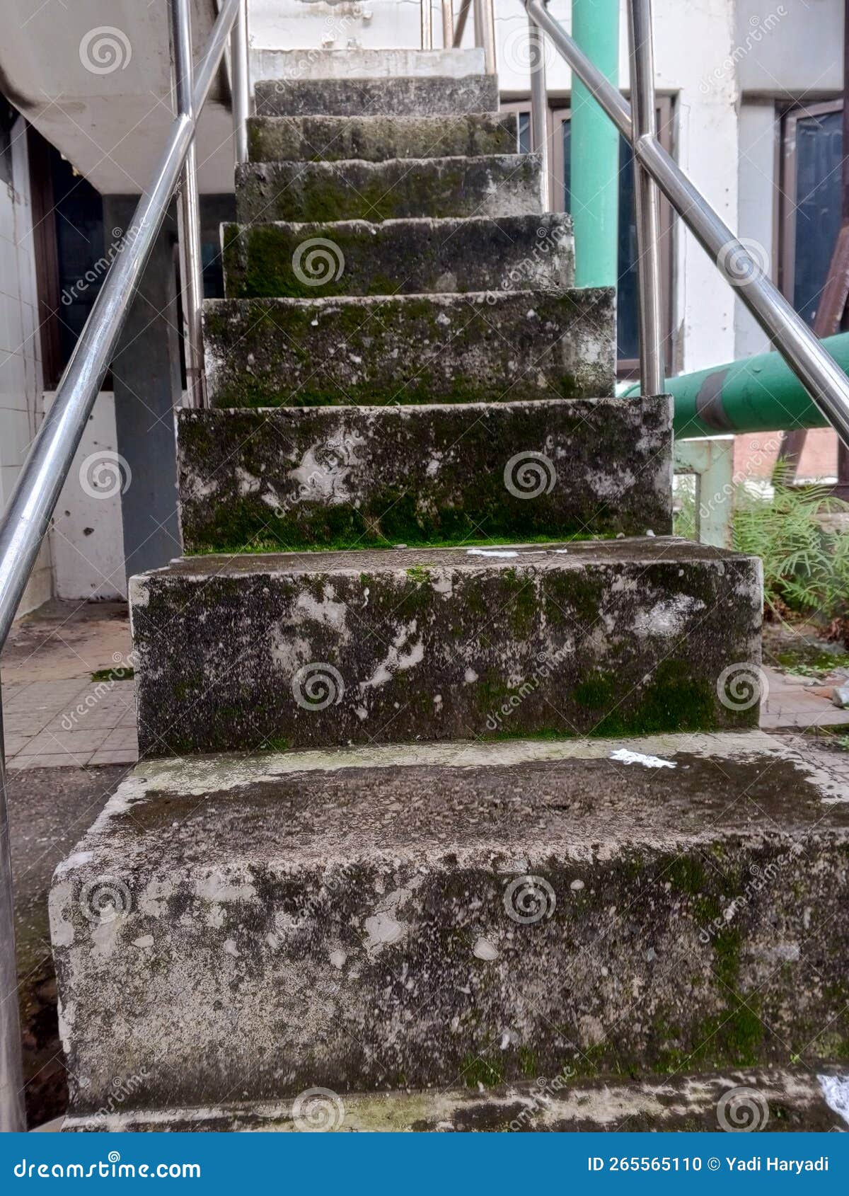 Ladder To Success in Life and Peace Stock Photo - Image of ladder ...