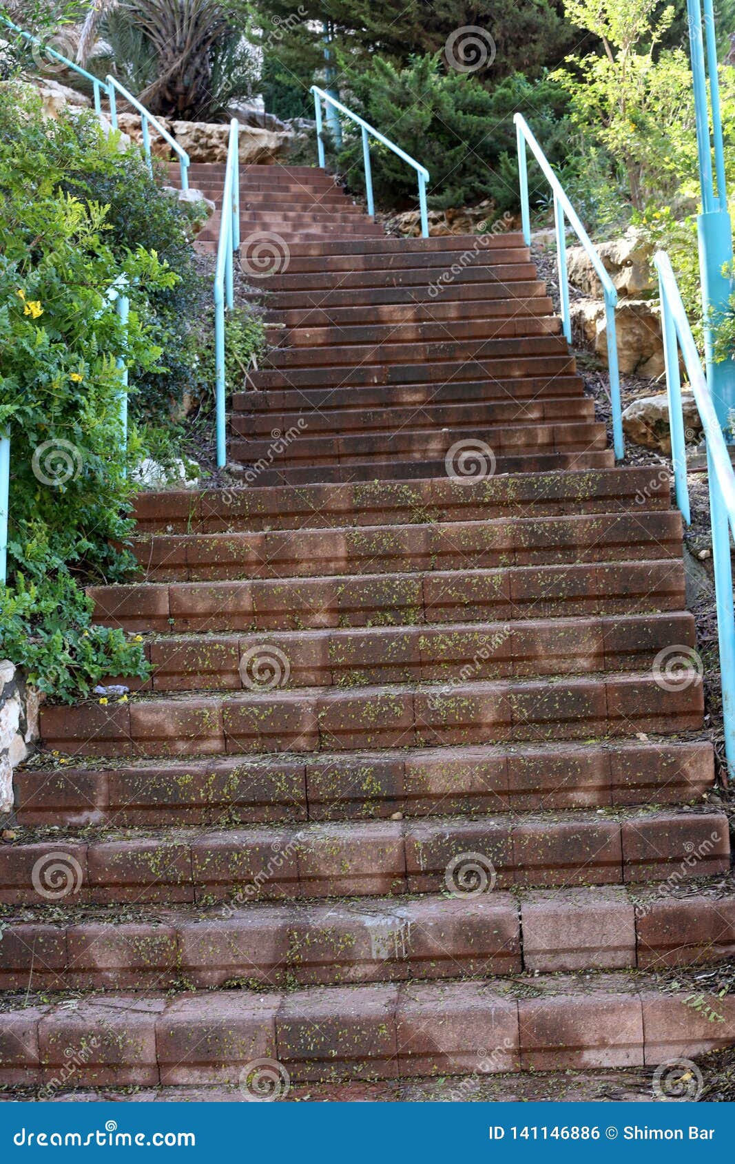 Ladder up and down stock photo. Image of escalator, descent - 141146886