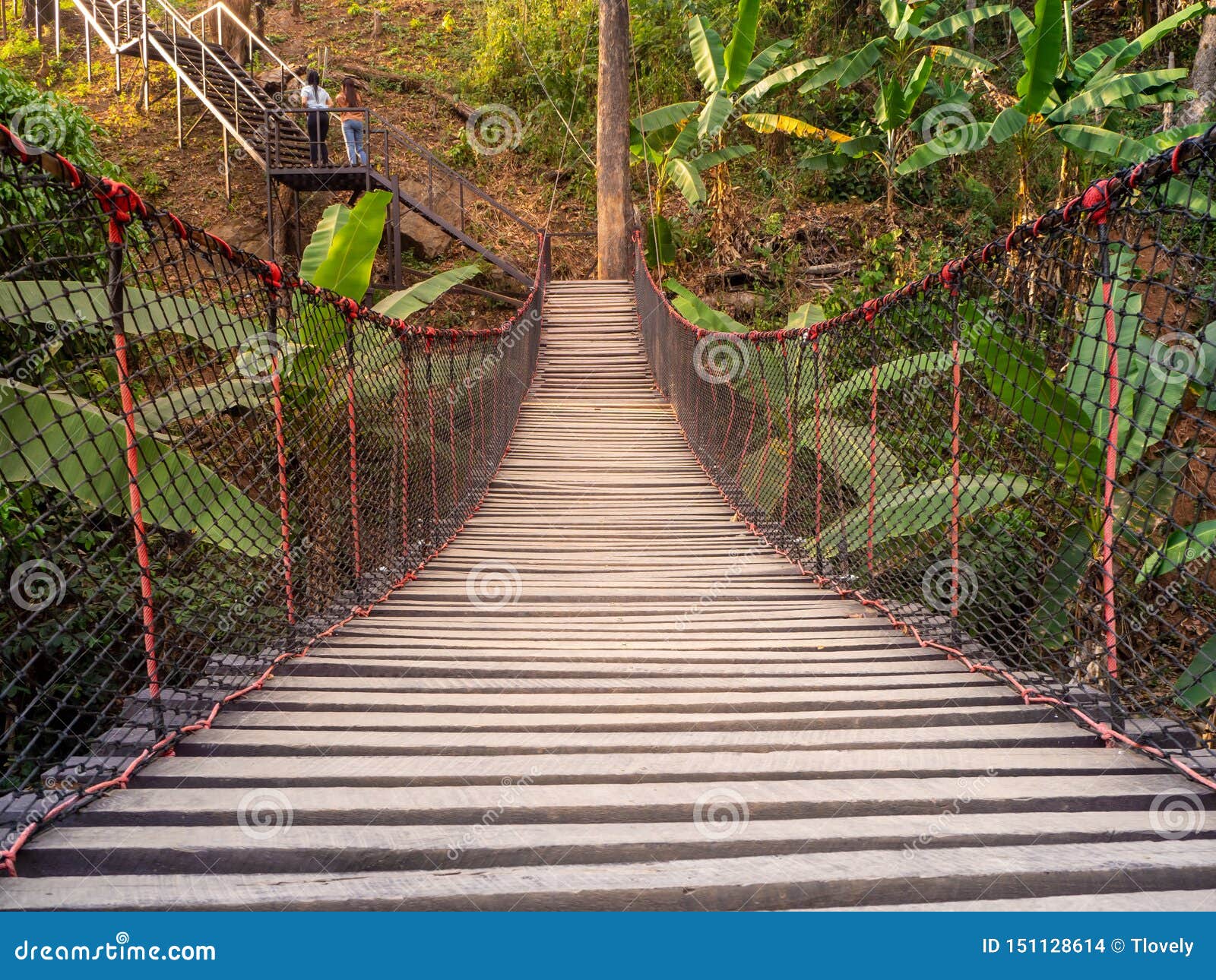 Ladder is Upward. the Upper is Upward in Nature Stock Photo - Image of ...