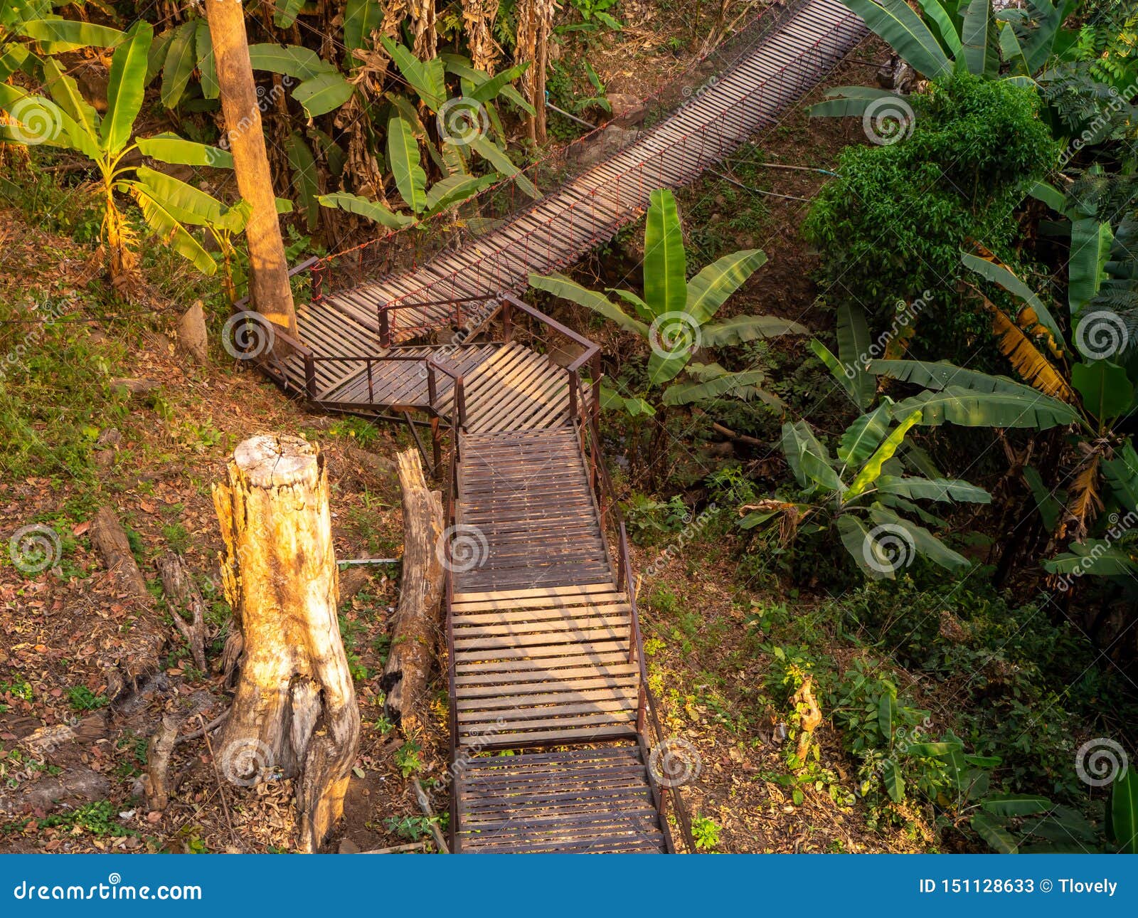 Ladder is Upward. the Upper is Upward in Nature Stock Image - Image of ...