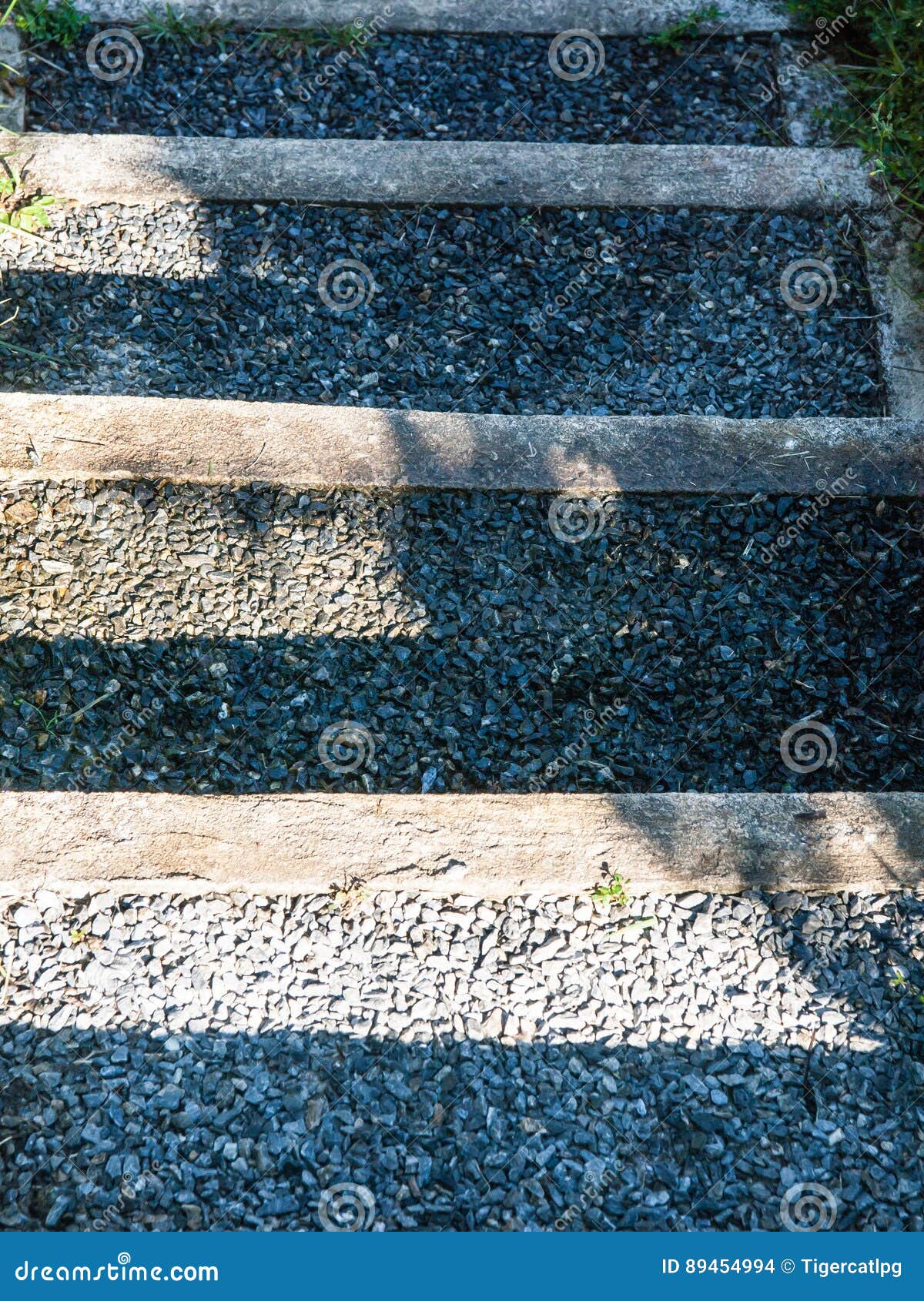 Ladder walkway in the park stock photo. Image of nature - 89454994