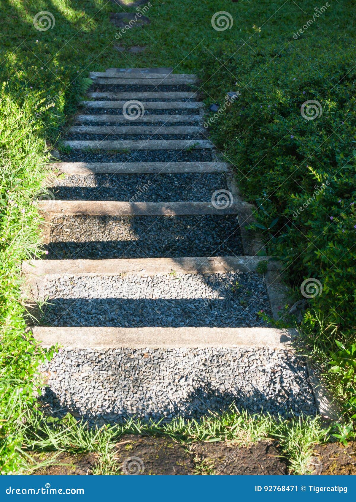 Ladder Walkway In The Park Royalty-Free Stock Photography ...