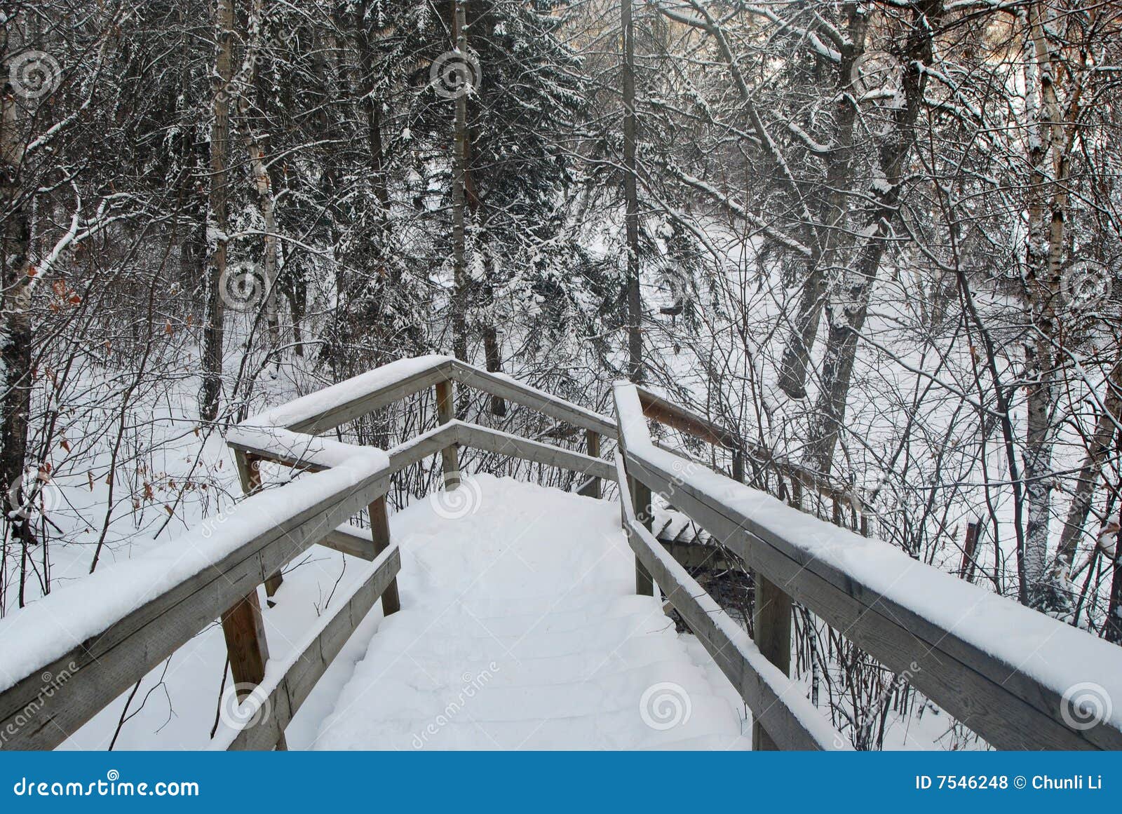 Ladders covered with snow stock photo. Image of ladders - 7546248