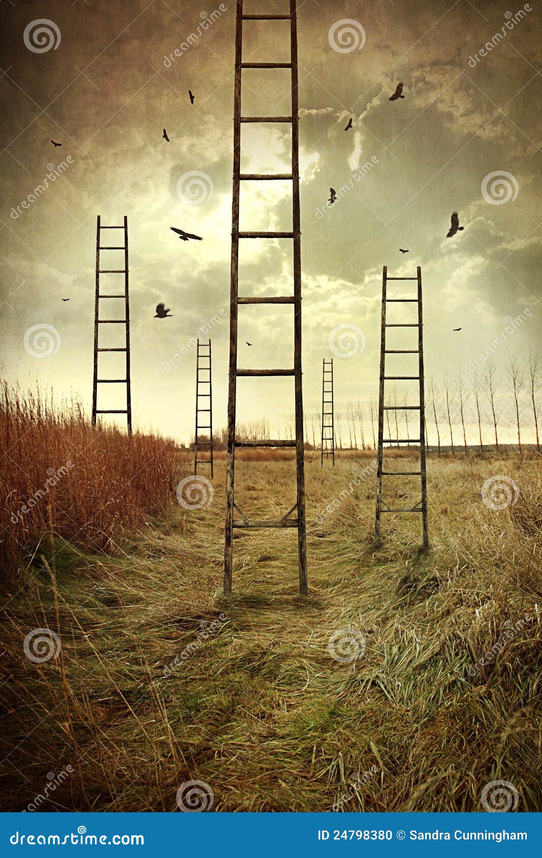 Ladders Reaching To the Sky in a Field Stock Photo - Image of ...