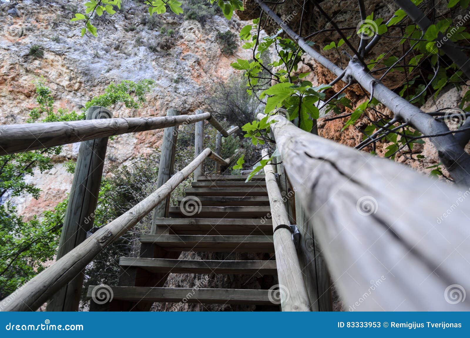 Ladders To Climb a Mountain Stock Image - Image of woods, tourism: 83333953
