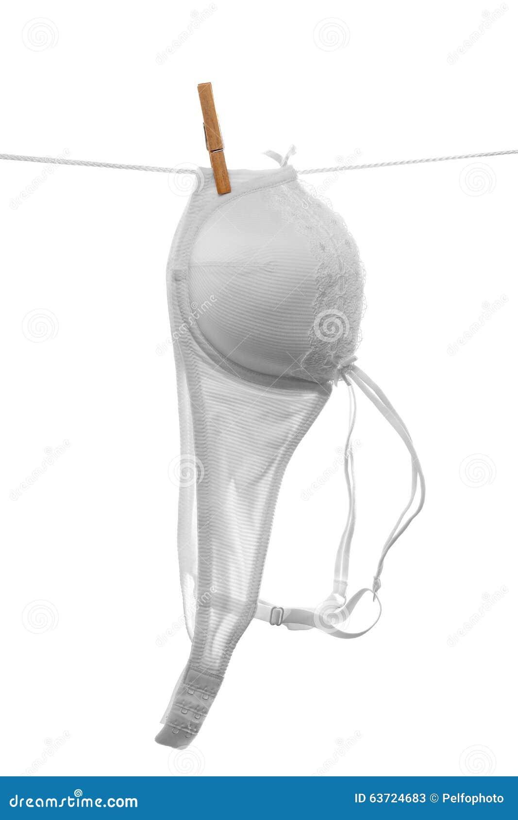 Ladies bra. stock image. Image of clothing, ladies, drying - 63724683