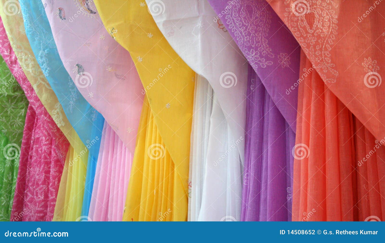 Ladies fancy dresses stock photo. Image of tradition - 14508652
