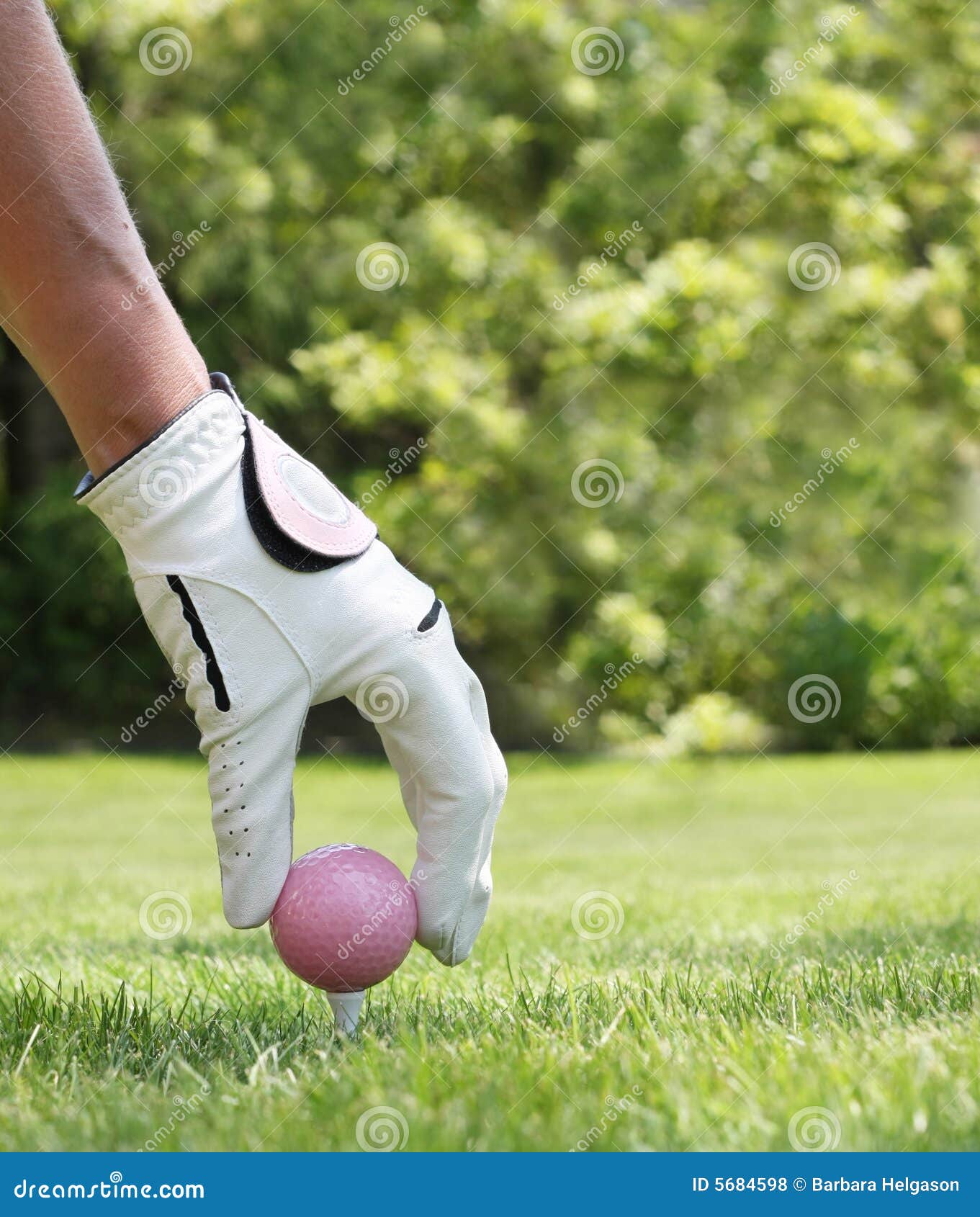 Ladies golf stock photo. Image of lady, golfing, pink - 5684598