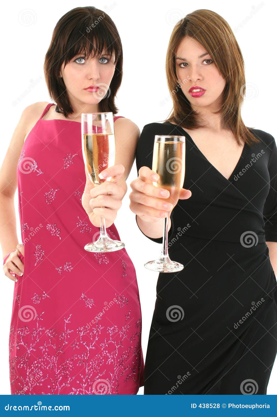 Ladies Toasting Champagne stock photo. Image of adults - 438528