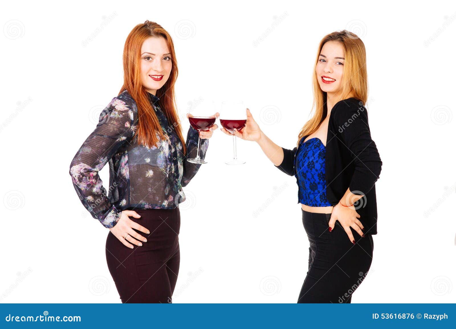 Ladies toasting stock photo. Image of elegant, lifestyle - 53616876