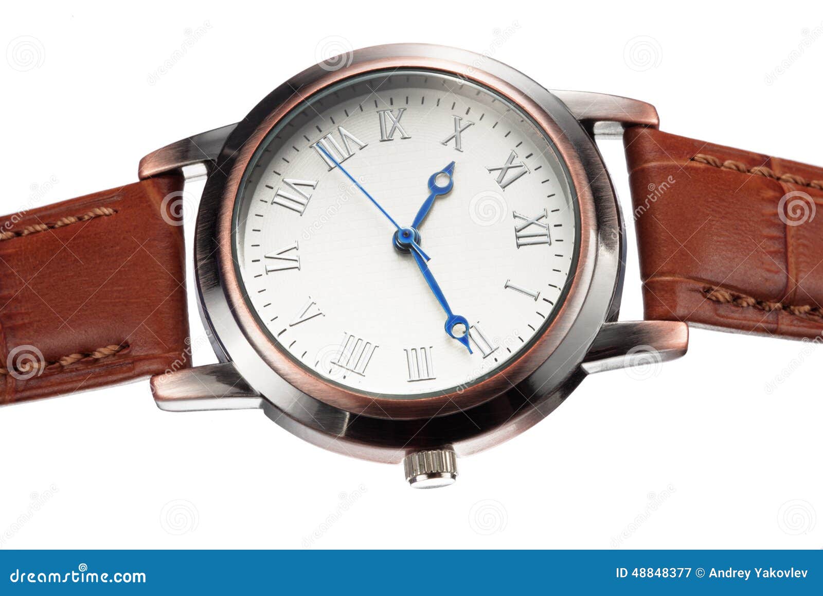 Ladies watch stock image. Image of silver, macro, strap - 48848377