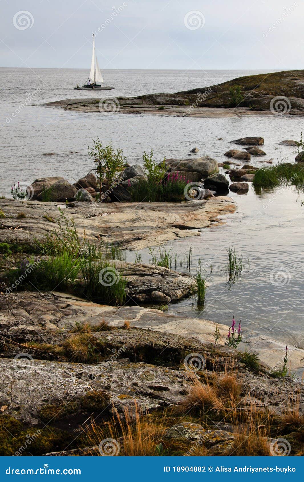 Ladoga stock photo. Image of light, sailboat, summer - 18904882