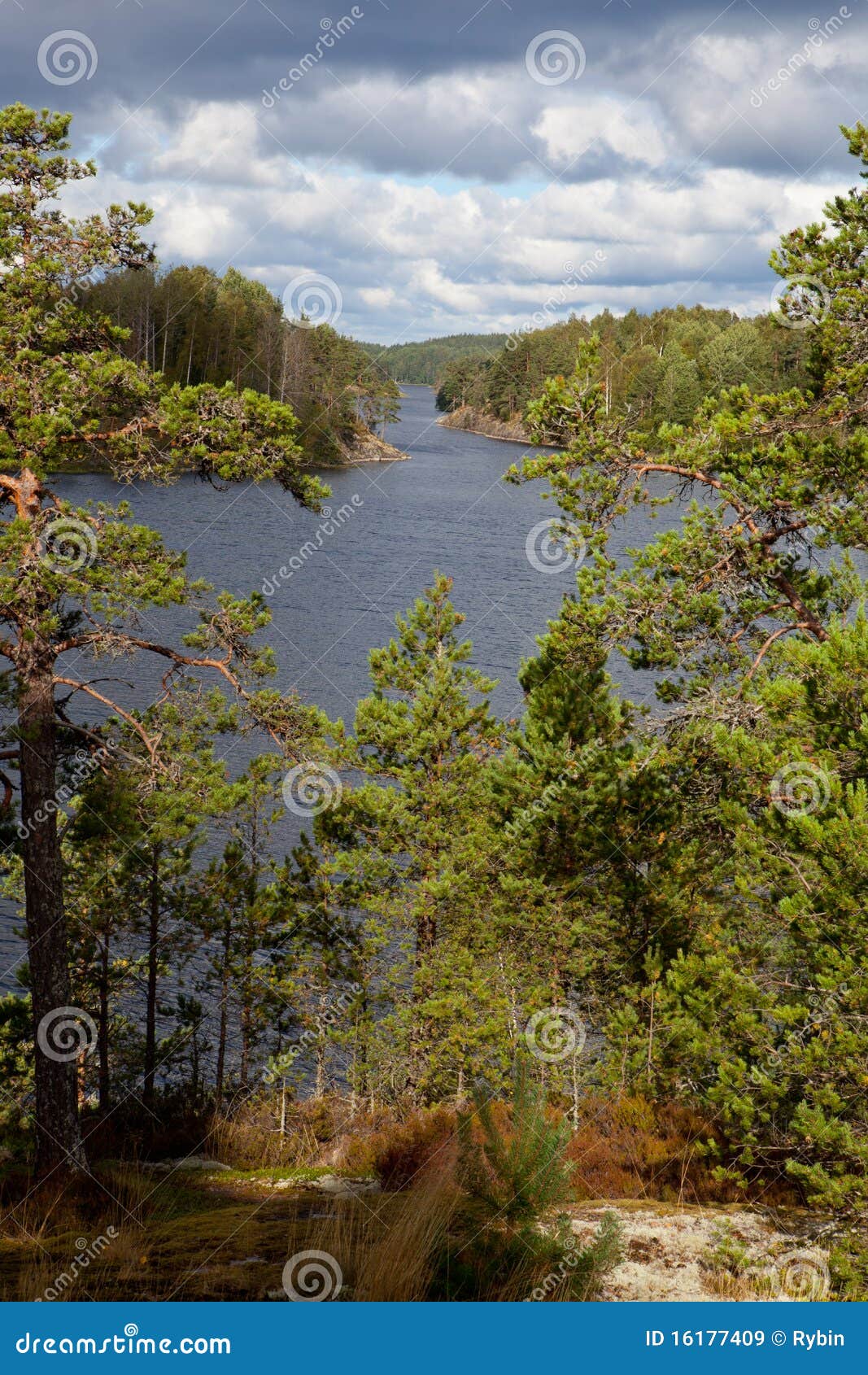 Ladoga islands stock image. Image of taiga, tourism, water - 16177409