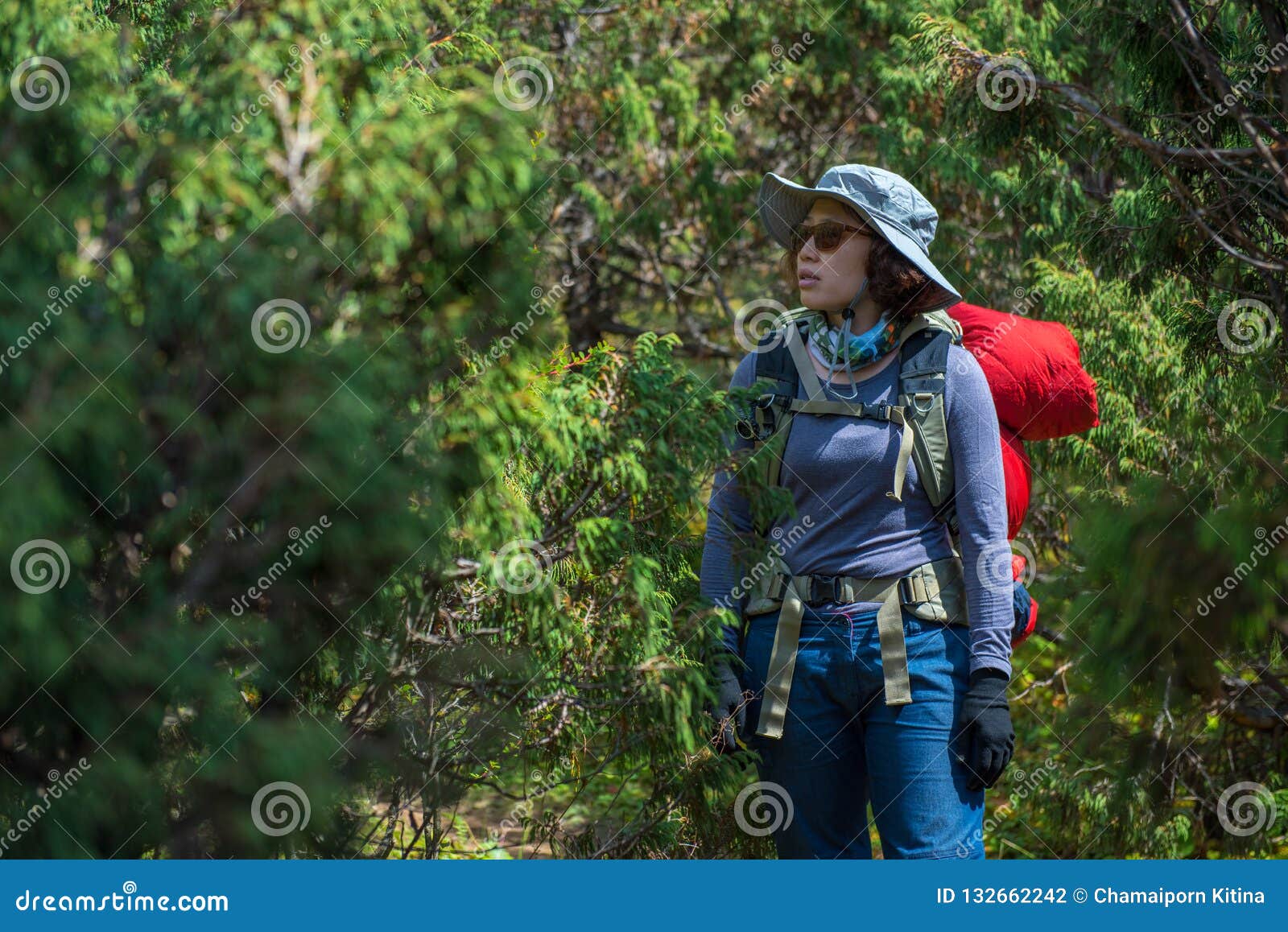 Lady Backpacker or Trekker with Backpack Lost in Jungle in Nepal Stock ...
