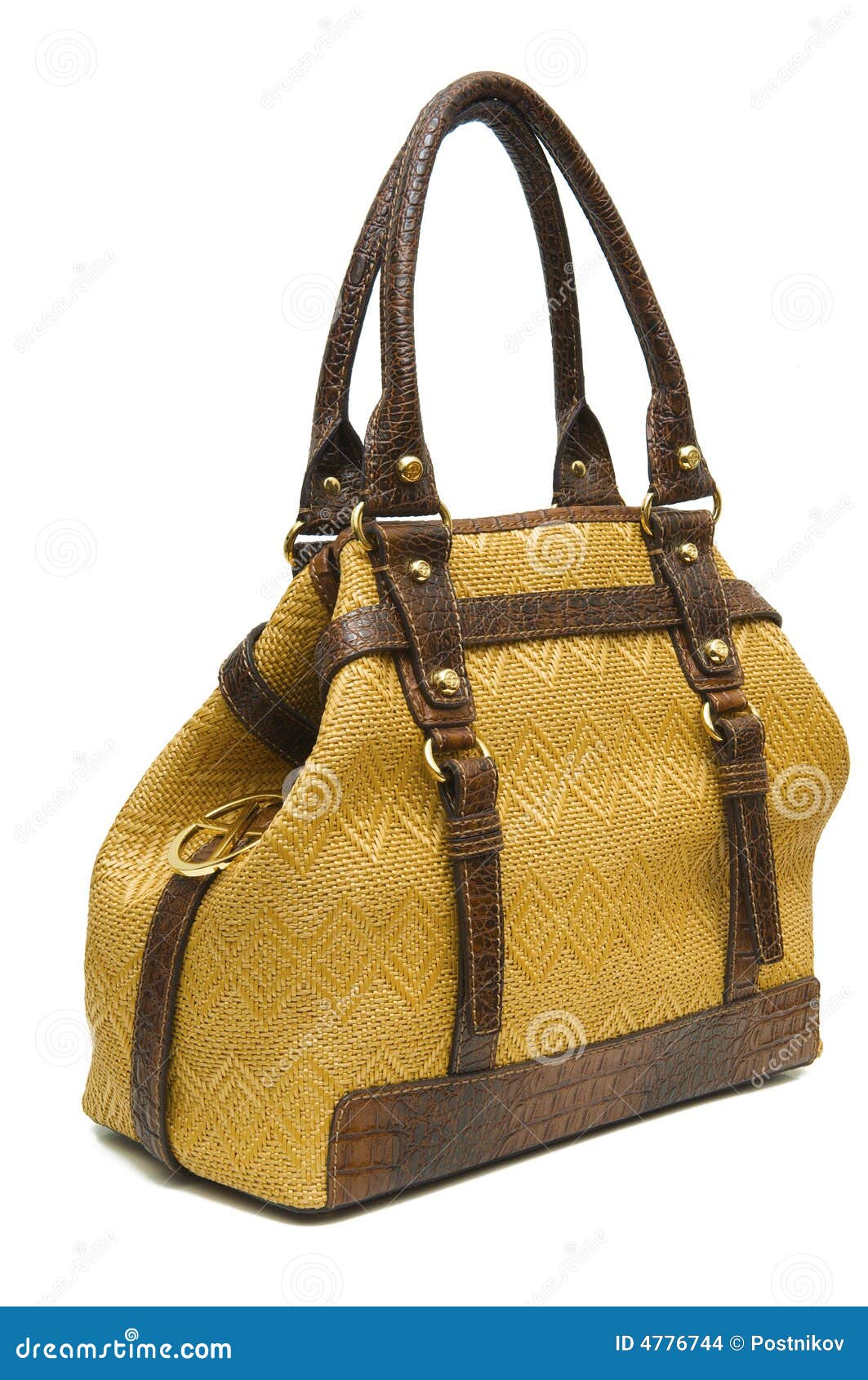 Lady bag stock photo. Image of personal, carry, sales - 4776744