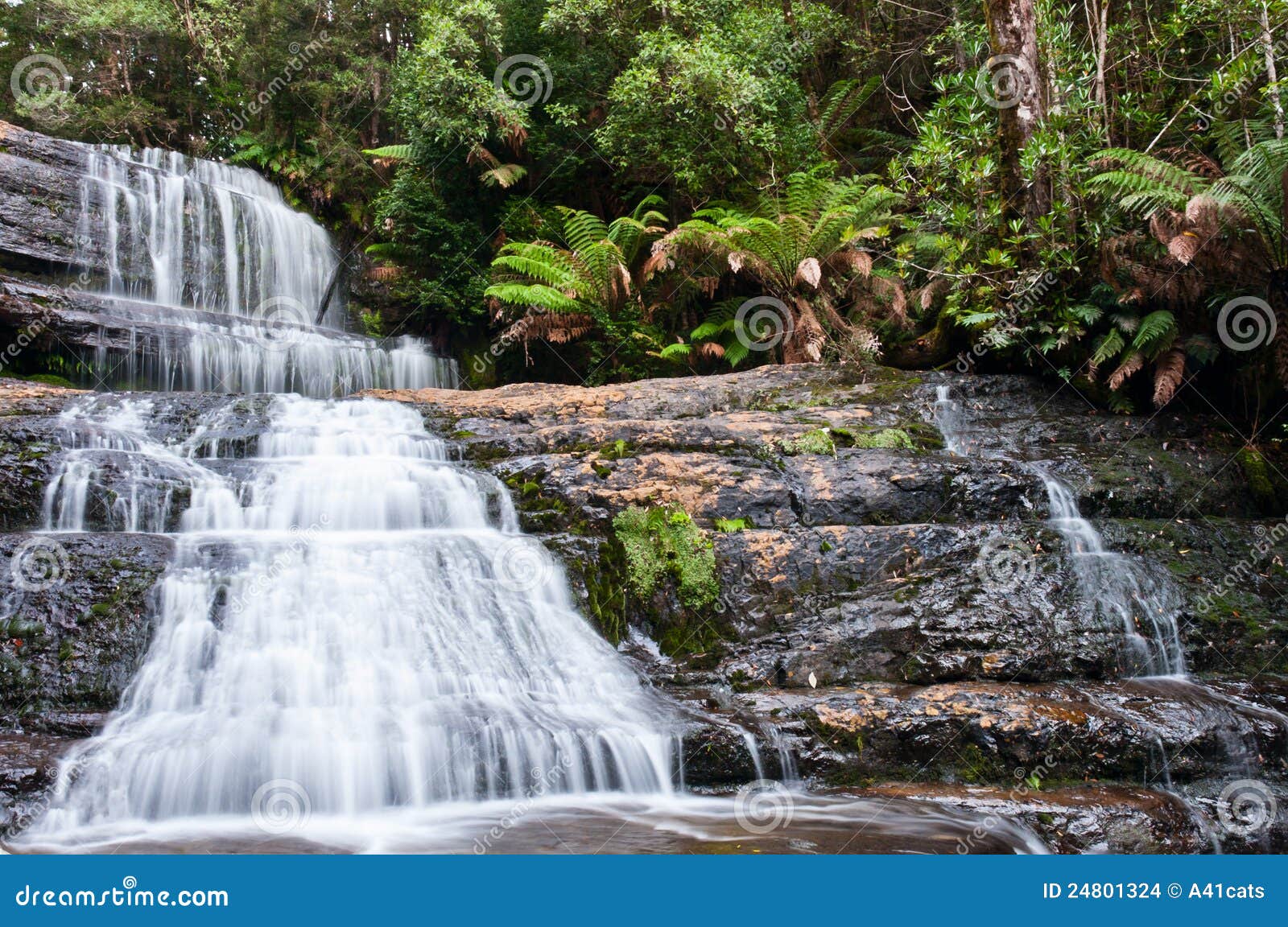 Lady Barron Falls, Mt Field National Park Stock Photo - Image of ...