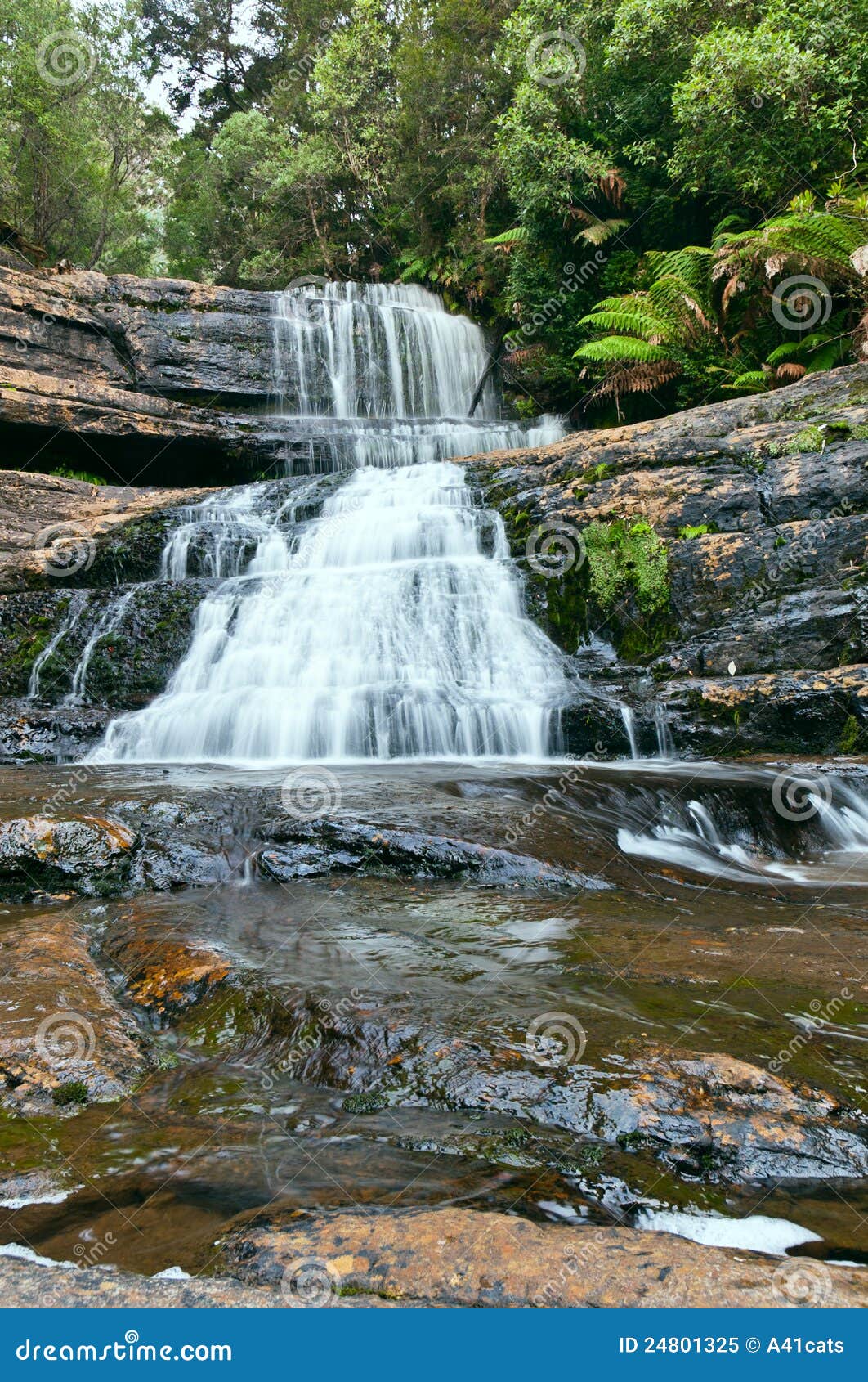 Lady Barron Falls, Mt Field National Park Stock Image - Image of barron ...
