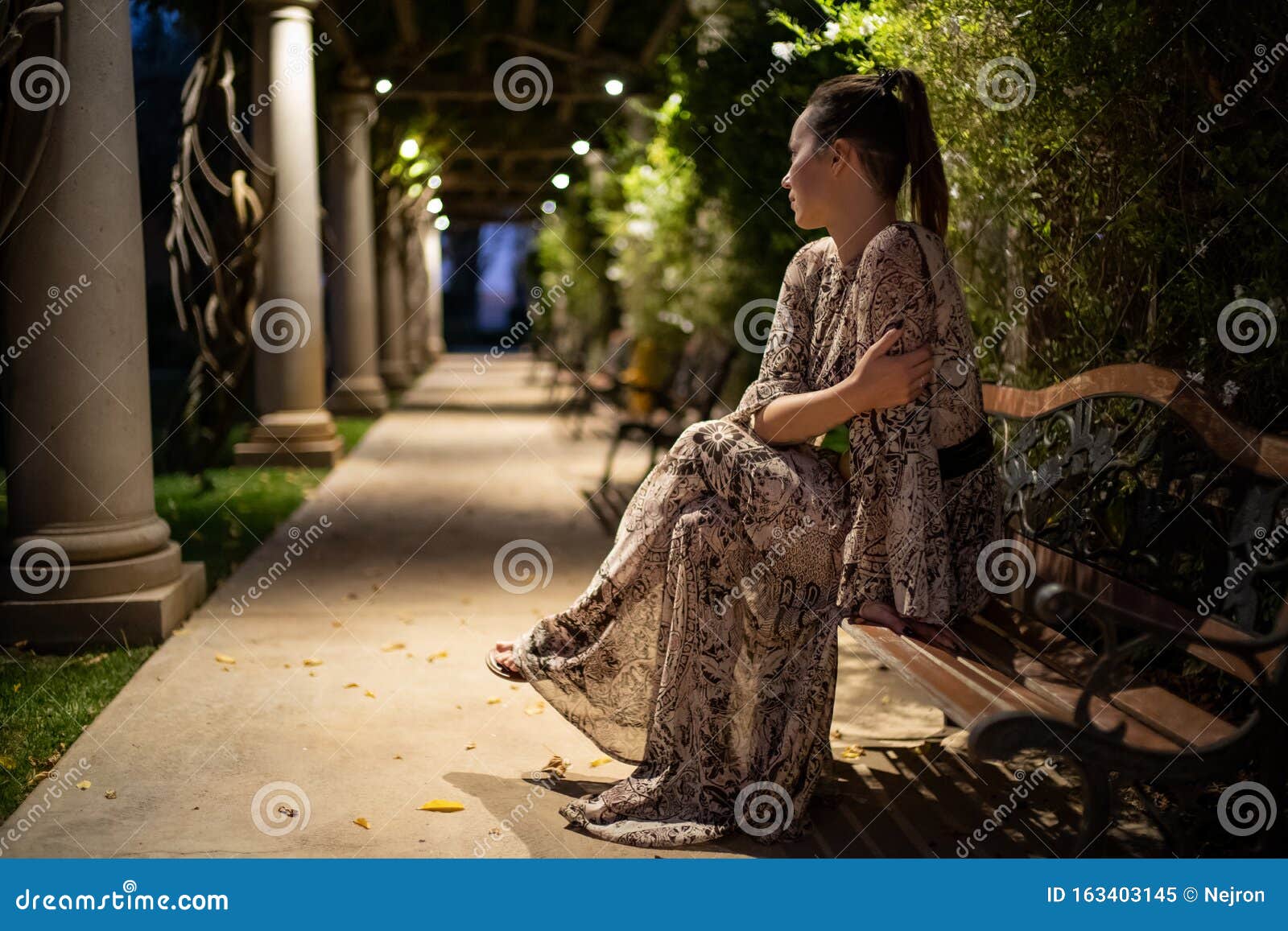Lady in Beautiful Dress Outdoor Stock Image - Image of famous, hotel ...