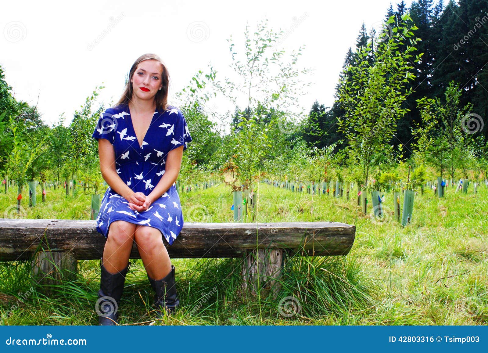 Lady on the bench stock photo. Image of bench, portriat - 42803316