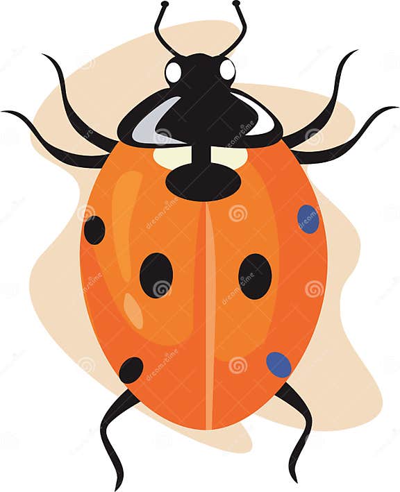 Lady bug stock vector. Illustration of zoology, beauty - 3526008