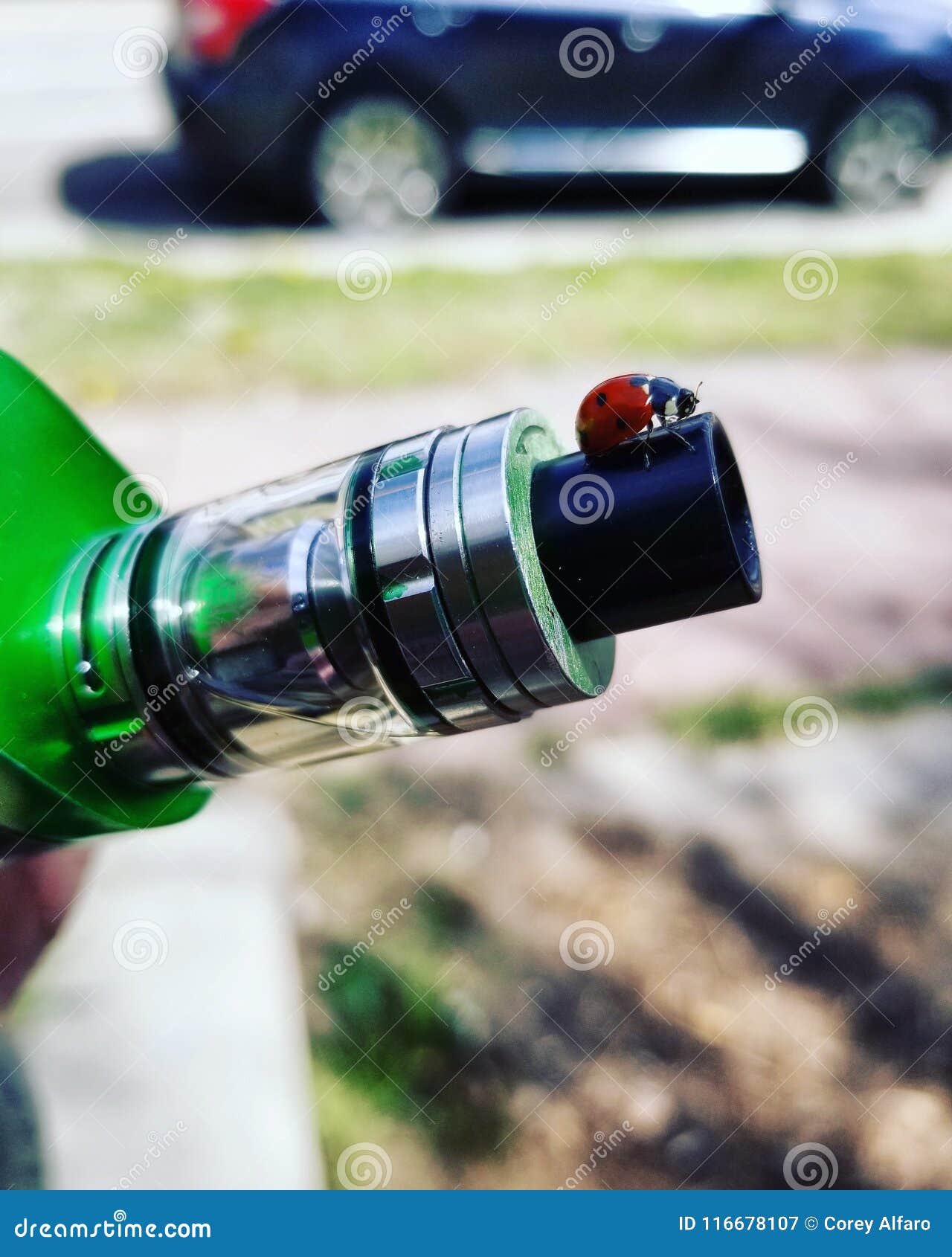 Lady bug chilling stock image. Image of vapelife, smok - 116678107