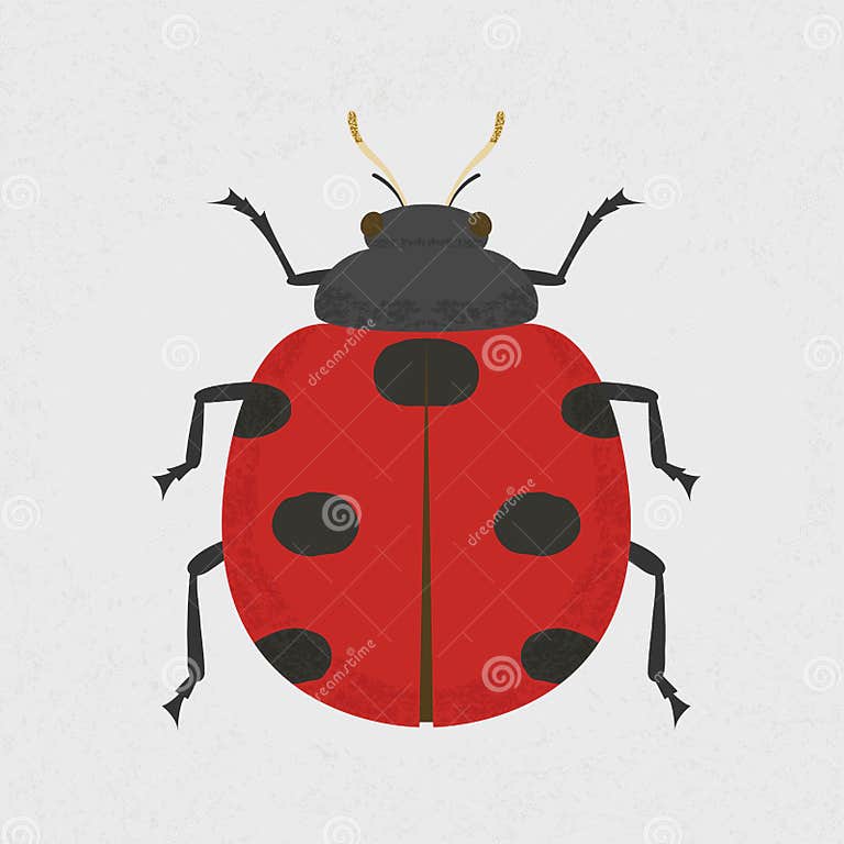 Lady Bug stock vector. Illustration of nature, power - 31454165