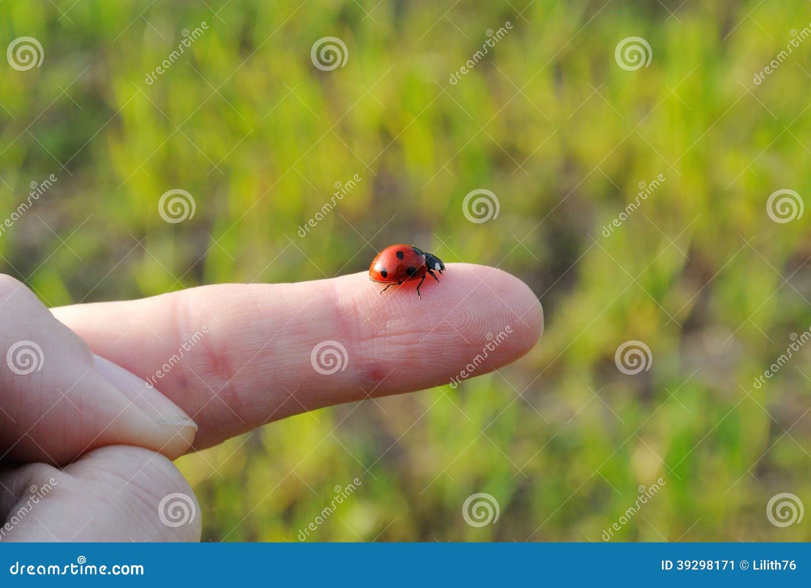 Lady Bug on a finger stock image. Image of green, lady - 39298171