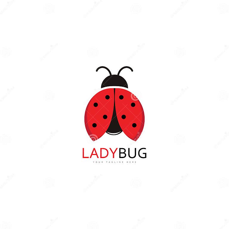 Lady Bug Logo Template Vector Illustration Icon Stock Vector ...