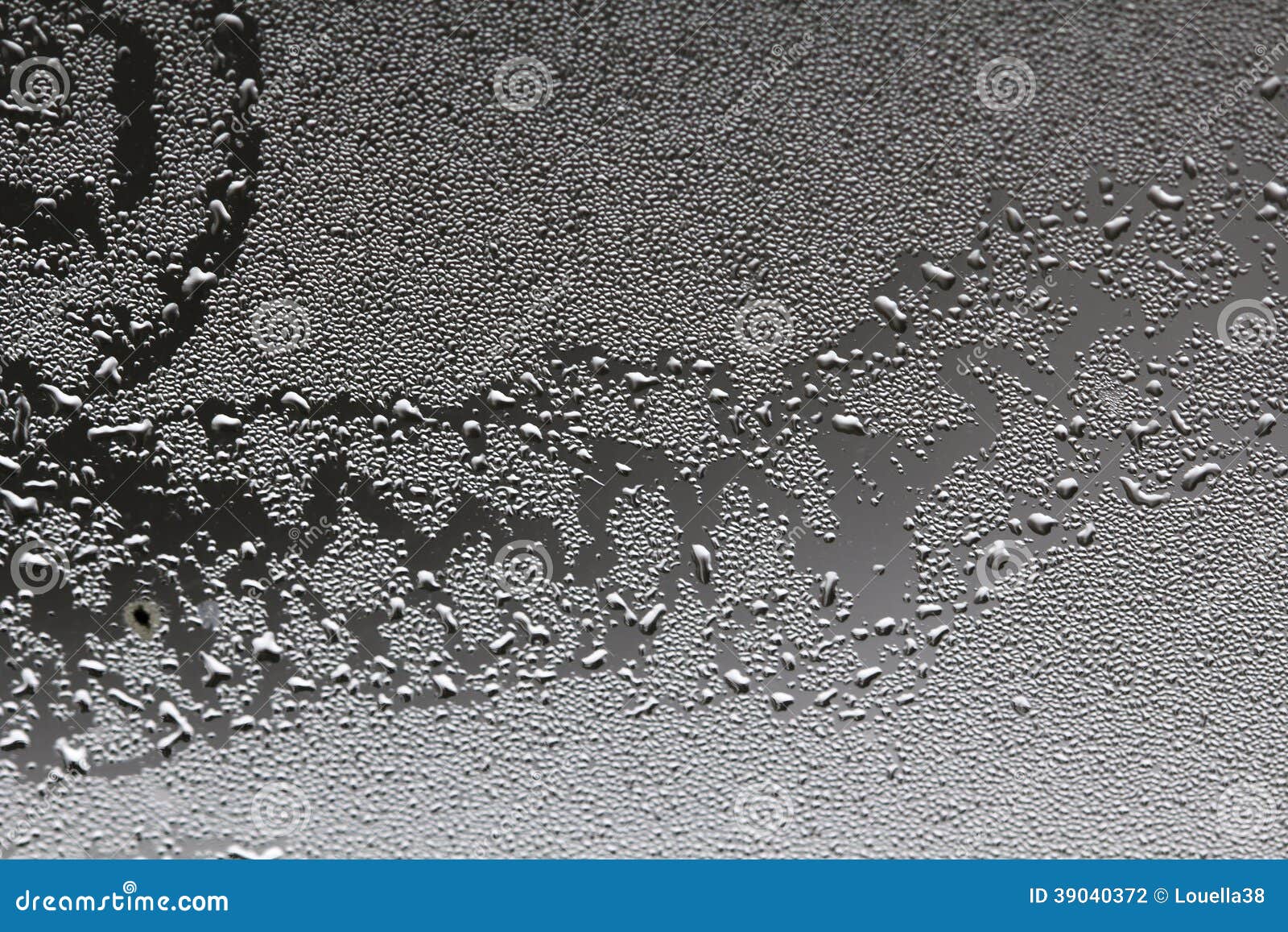 Lady Bug Trails on Window stock photo. Image of beetle - 39040372