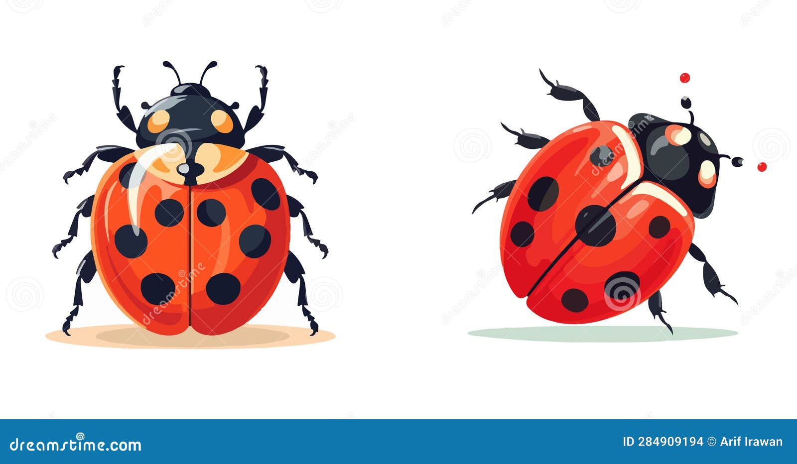 Lady Bug Vector in Different Style Set Graphic Stock Illustration ...