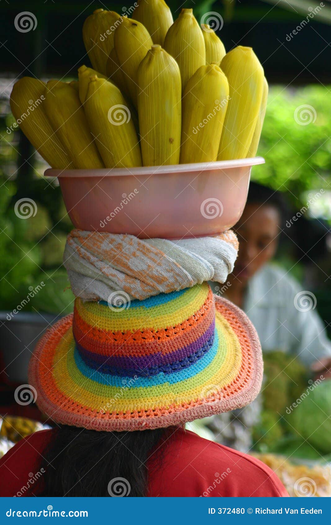 Lady carrying corn stock photo. Image of travels, asia - 372480