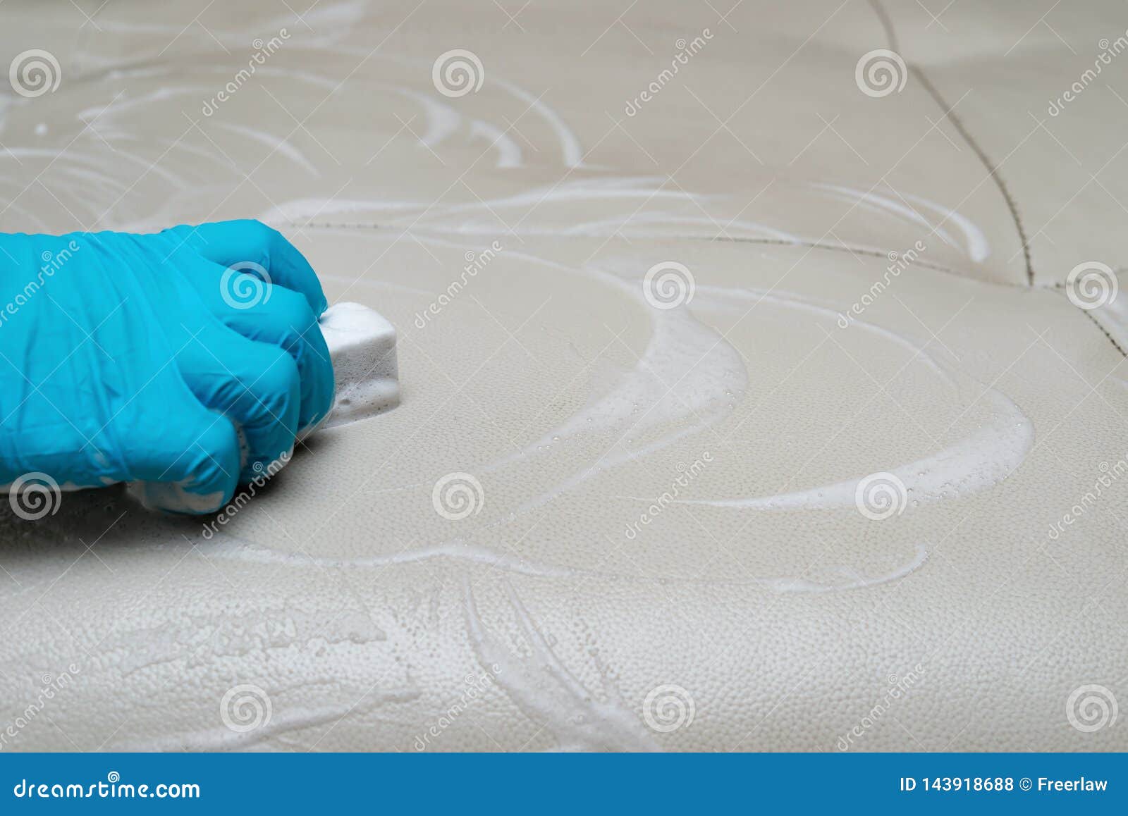 Lady Cleaning Leather Sofa with Sponge Stock Photo - Image of male ...