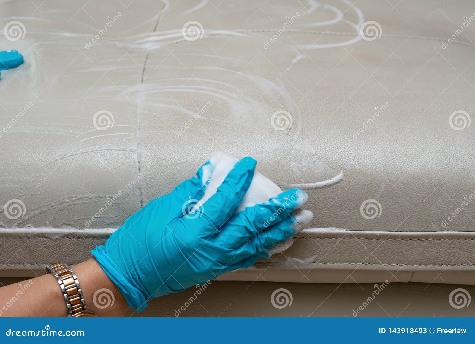 Lady Cleaning Leather Sofa with Sponge Stock Image - Image of indoors ...