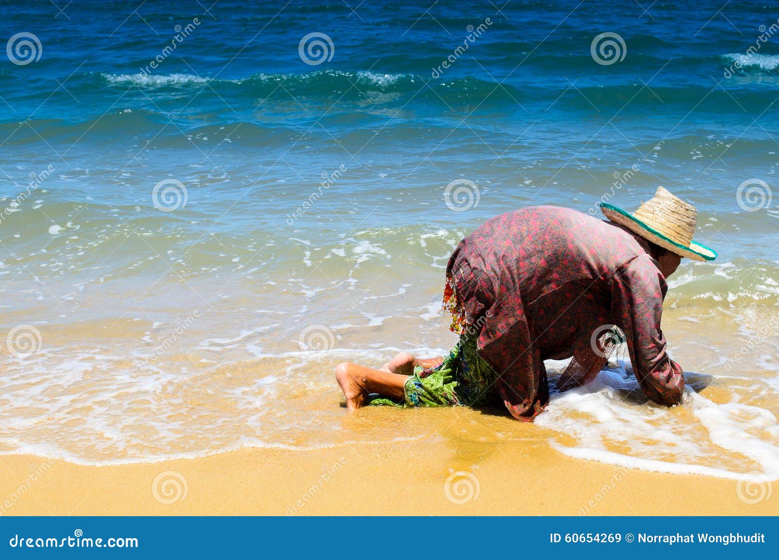 Lady Collecting Shells editorial stock image. Image of collecting ...