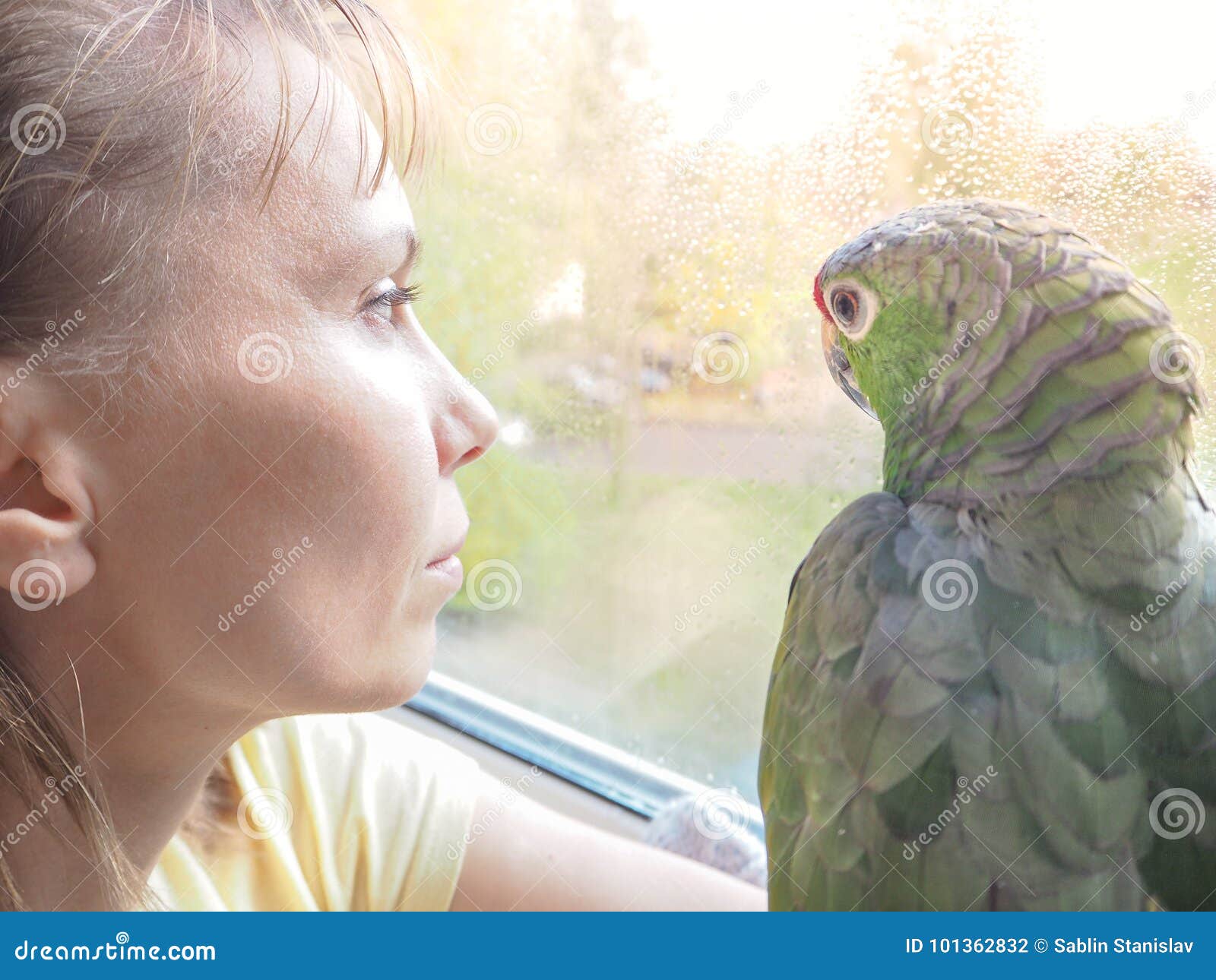 Sad Lady With A Parrot Sitting By The Window. Lady In A Depression At ...