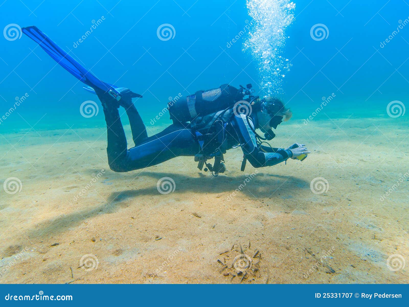Lady diver stock image. Image of aquatic, marine, diver - 25331707